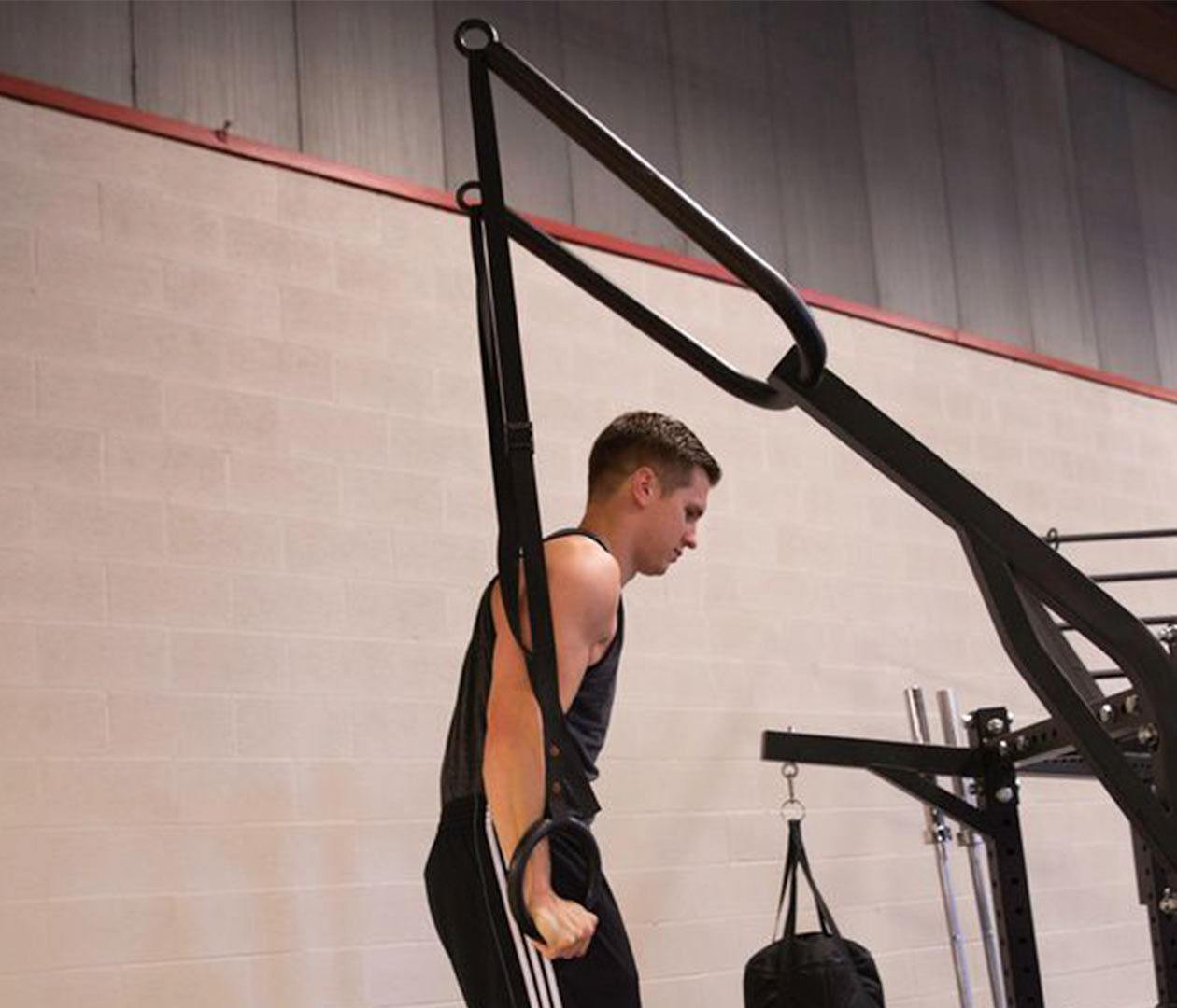 Body Solid Hexagon Pro Functional Training Rig System Cannonball Grips ...